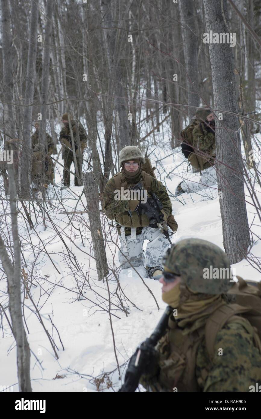 Royal hamilton light infantry hi-res stock photography and images - Alamy