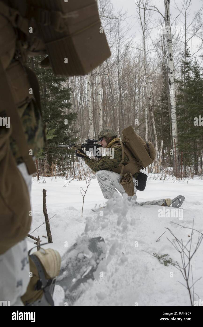 Royal hamilton light infantry hi-res stock photography and images - Alamy