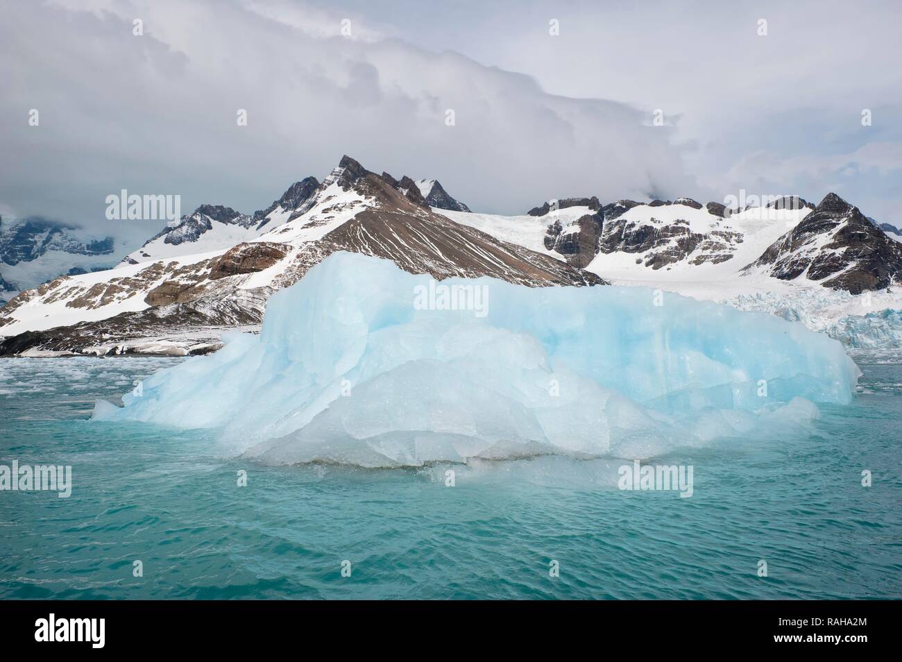 Moltke bay hi-res stock photography and images - Alamy