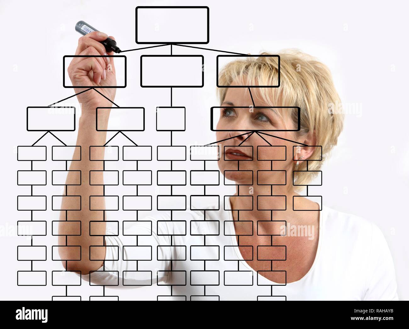 Woman drawing an organisational chart Stock Photo - Alamy