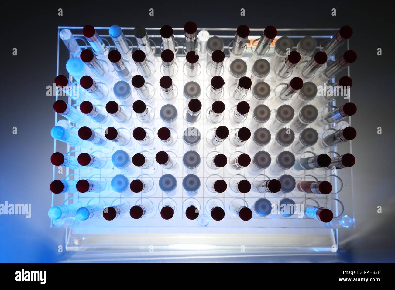 Kriminaltechnisches Institut, KTI, Forensic Science Institute, DNA ...