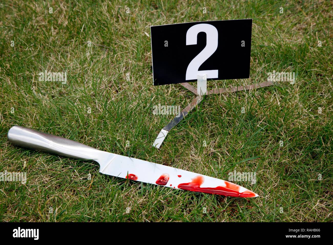 Bloody Knife Crime Scene