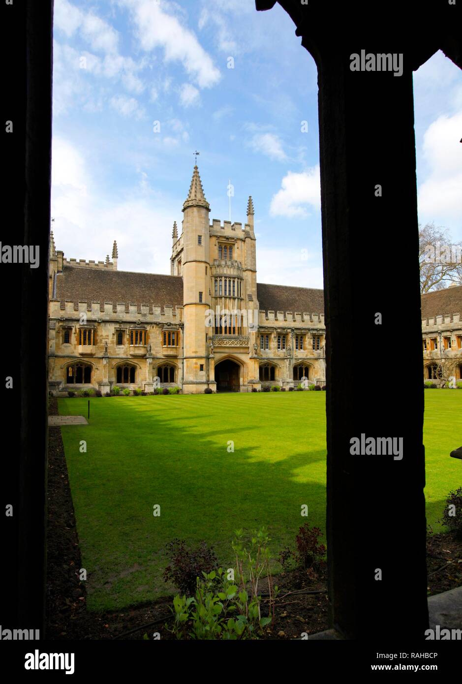 The Cloister, Magdalen College, one of 39 colleges, all of which are ...