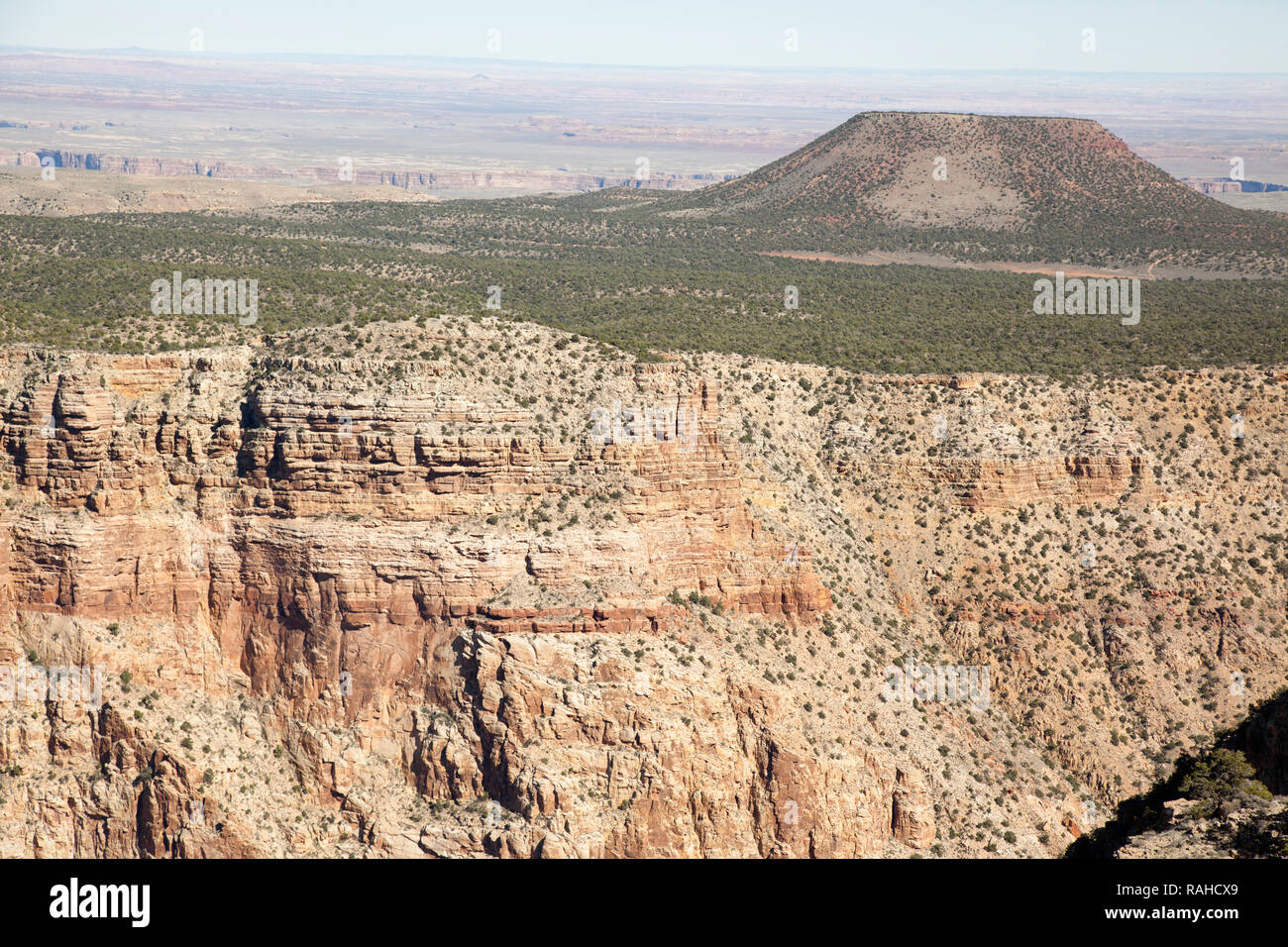 view of Grand Canyon from desert view lookout Stock Photo - Alamy