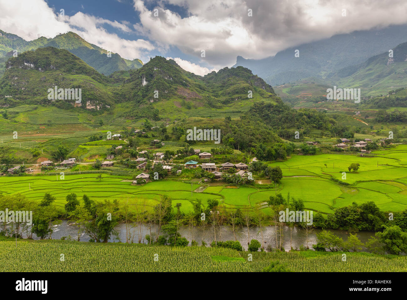 Mountain Rice Patties