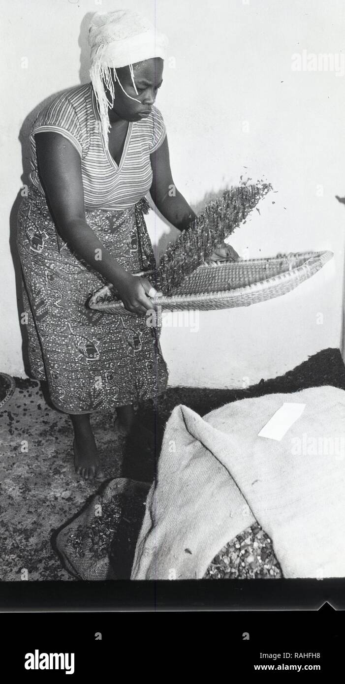 WOMEN GETTING HER FOOD TOGETHER IN HER HOUSE Stock Photo - Alamy