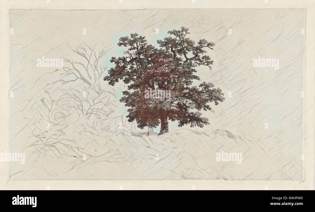 Landscape with oak tree, print maker: Remigius Adrianus Haanen, c. 1827 ...