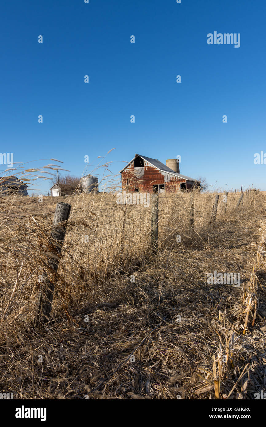 Grass and hay blowing in the wind along an old barbed wire fence in ...