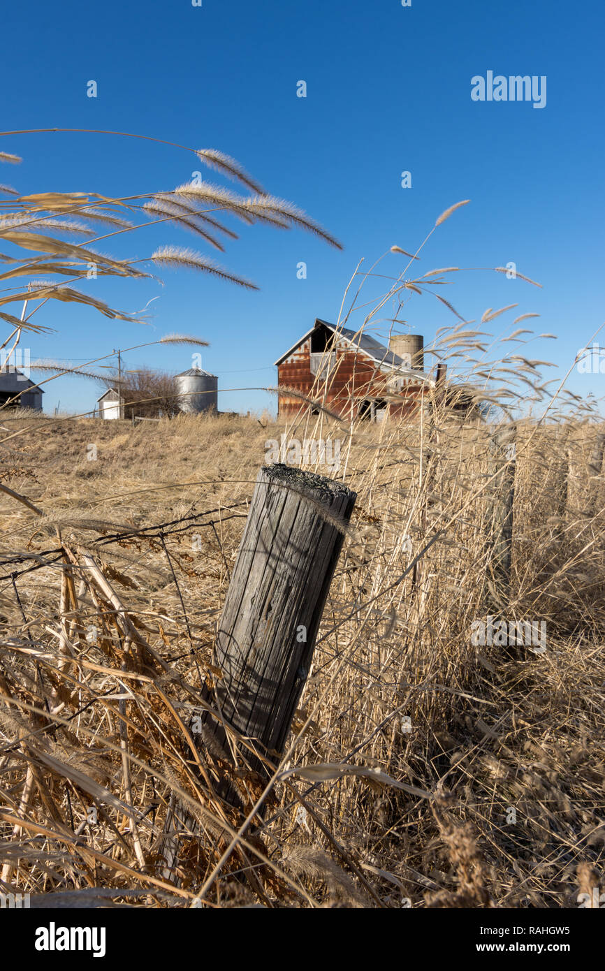 Grass and hay blowing in the wind along an old barbed wire fence in ...