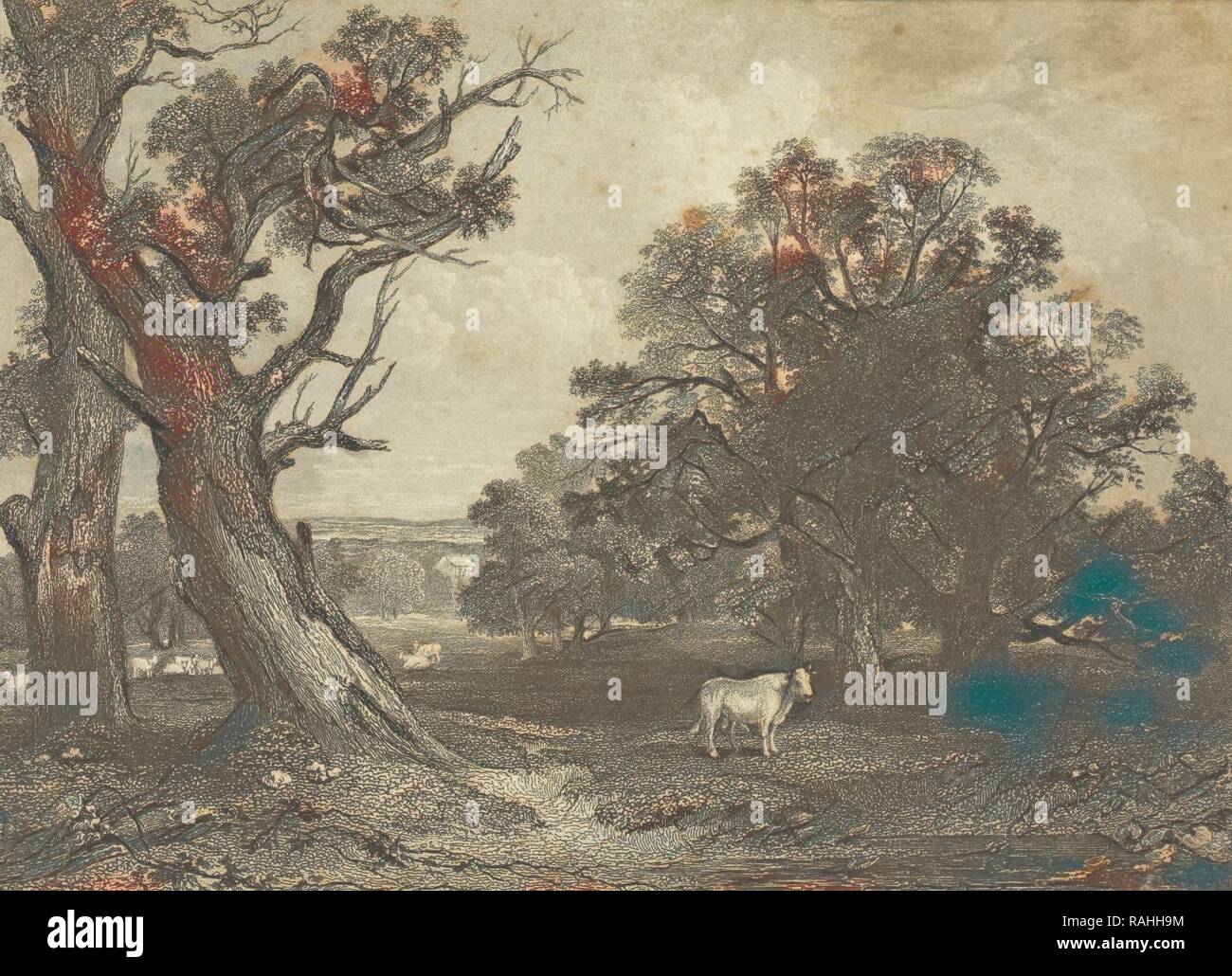 Pastoral Scene with Cows and Bulls, British, England, 1843 - 1845 ...