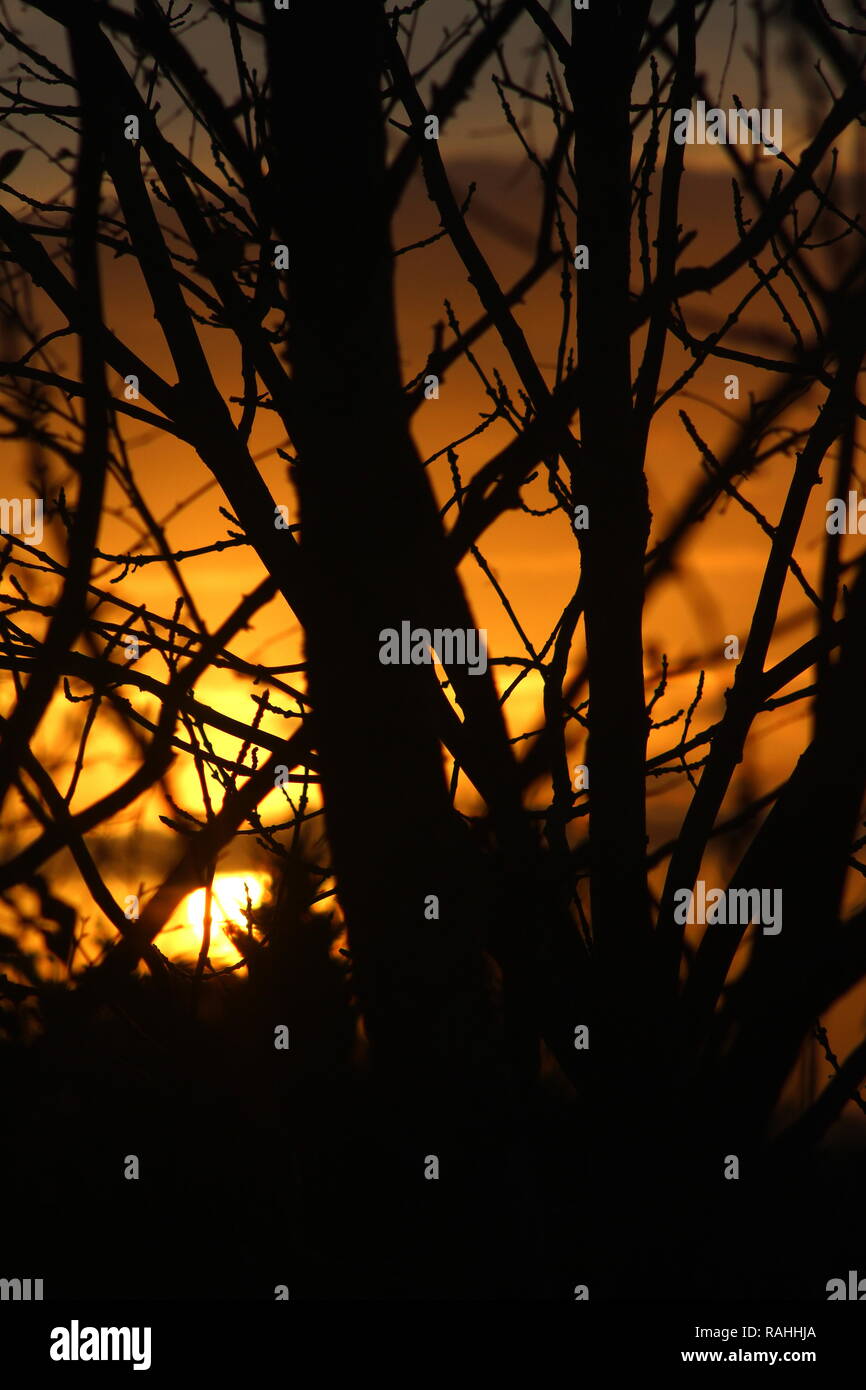 Woolton hill hi-res stock photography and images - Alamy