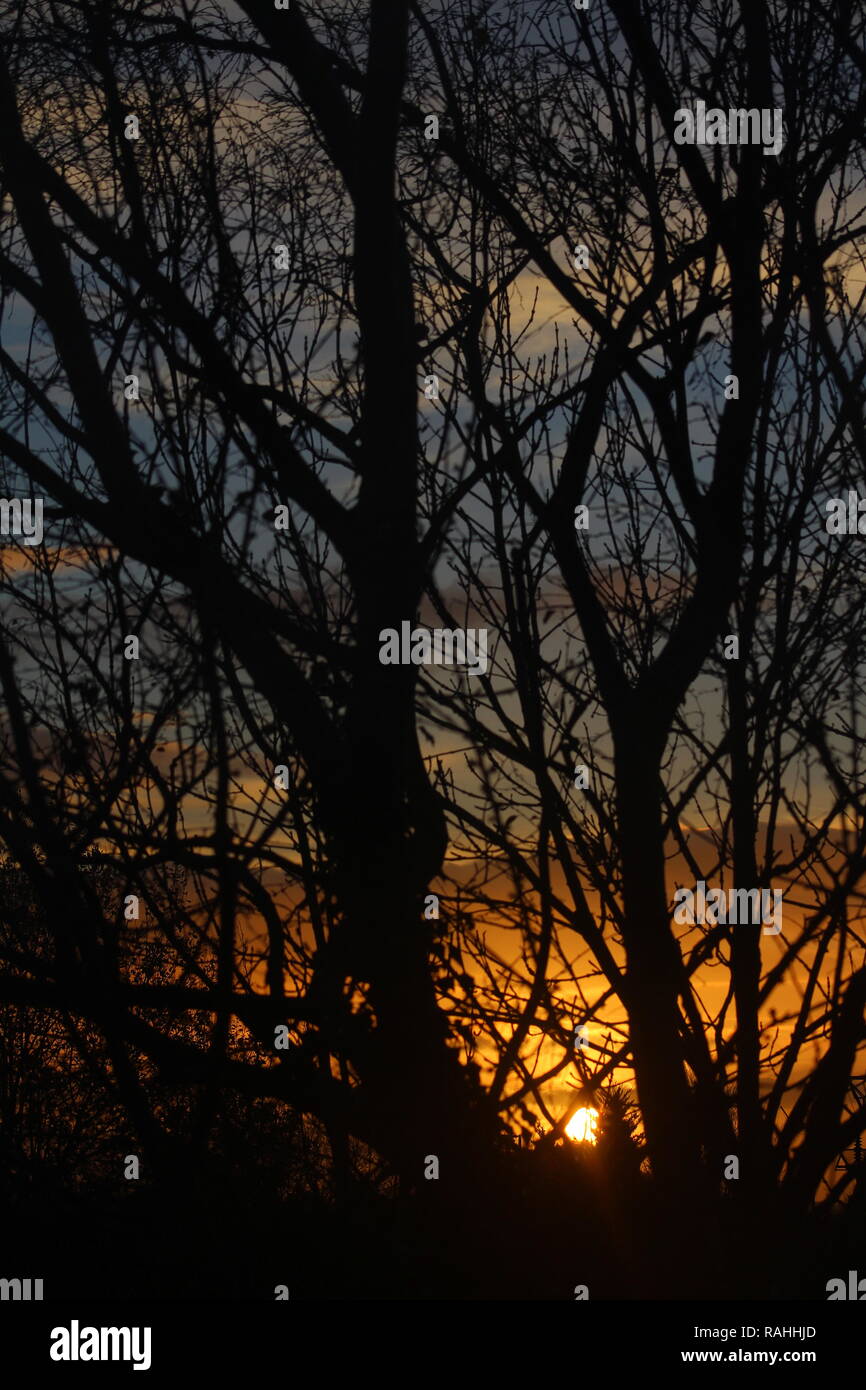 Woolton hill hi-res stock photography and images - Alamy