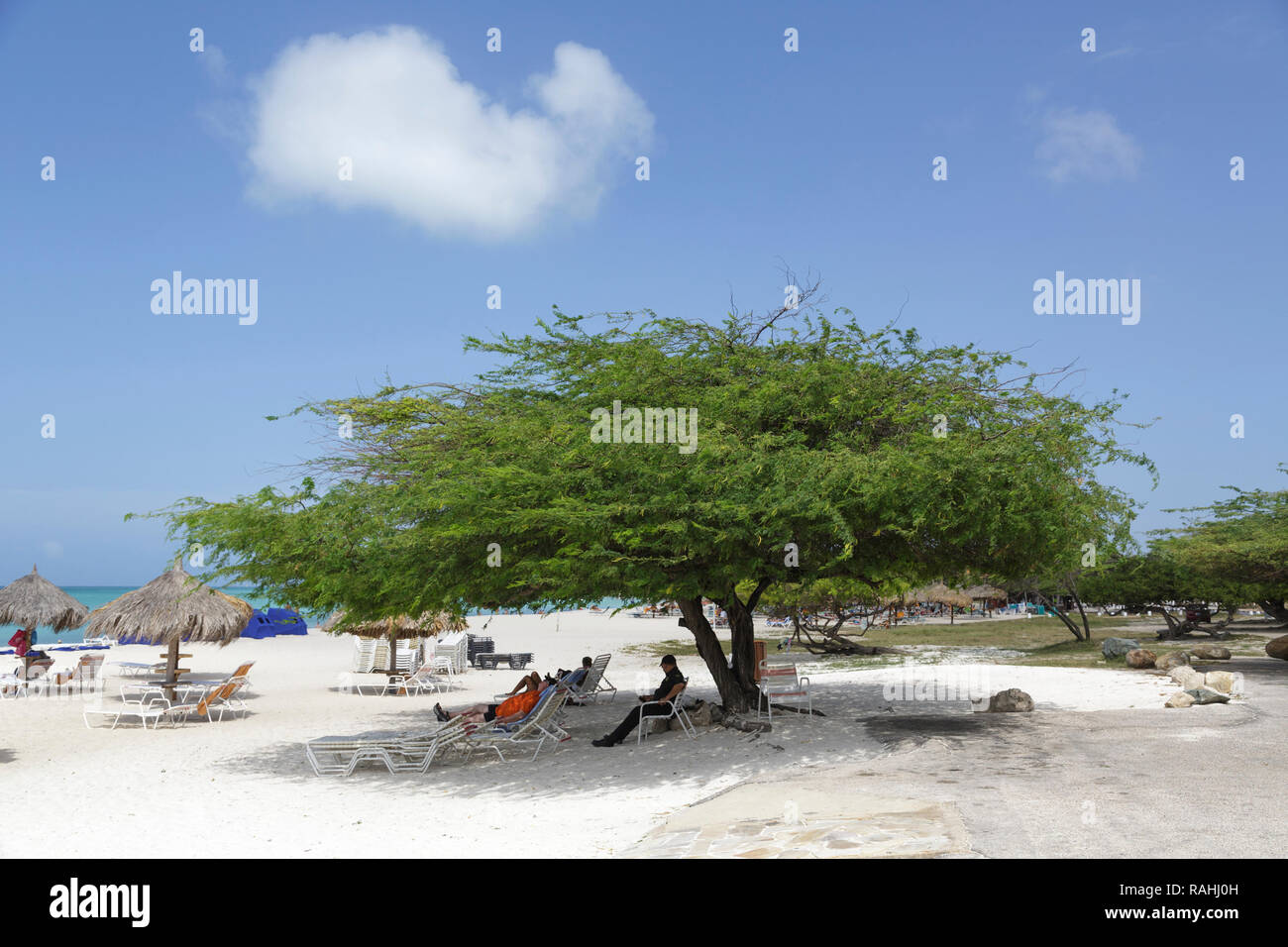 Rain aruba hi-res stock photography and images - Alamy