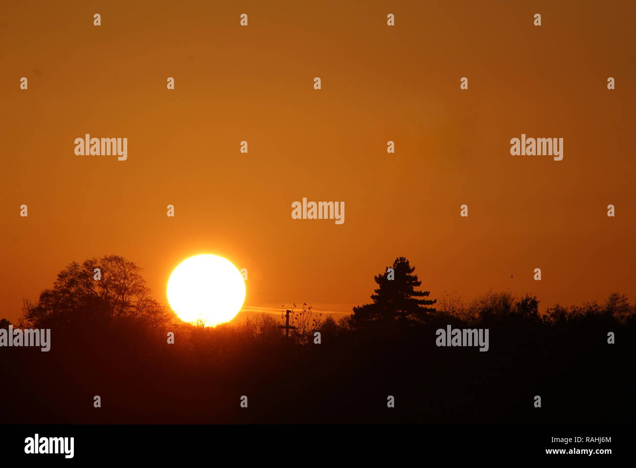 Woolton hill hi-res stock photography and images - Alamy