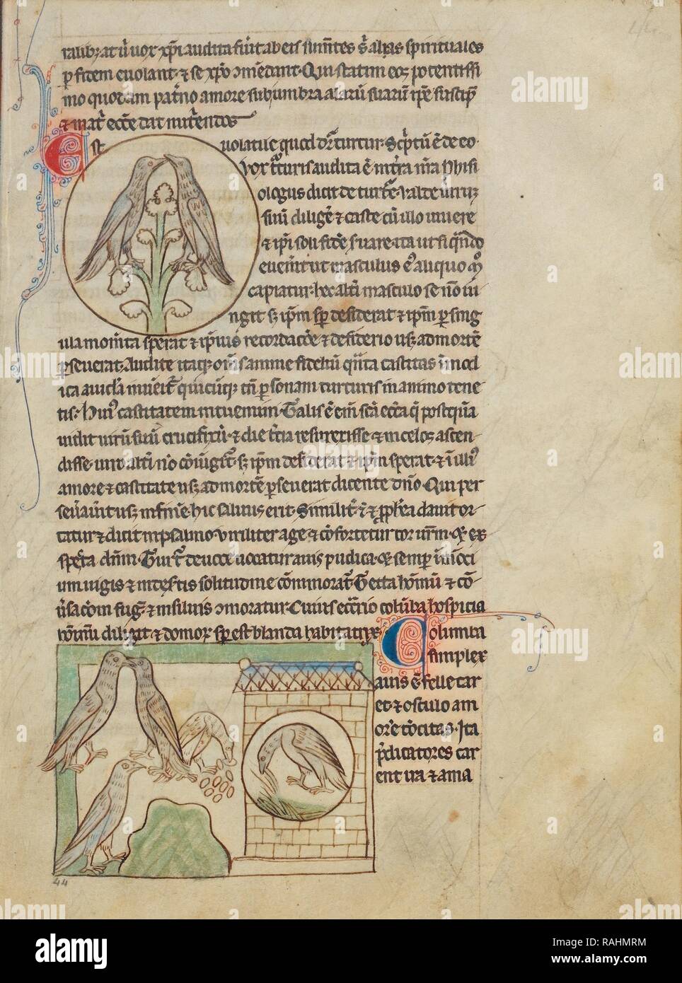 Turtledoves, Doves, England, about 1250 - 1260, Pen-and-ink drawings ...