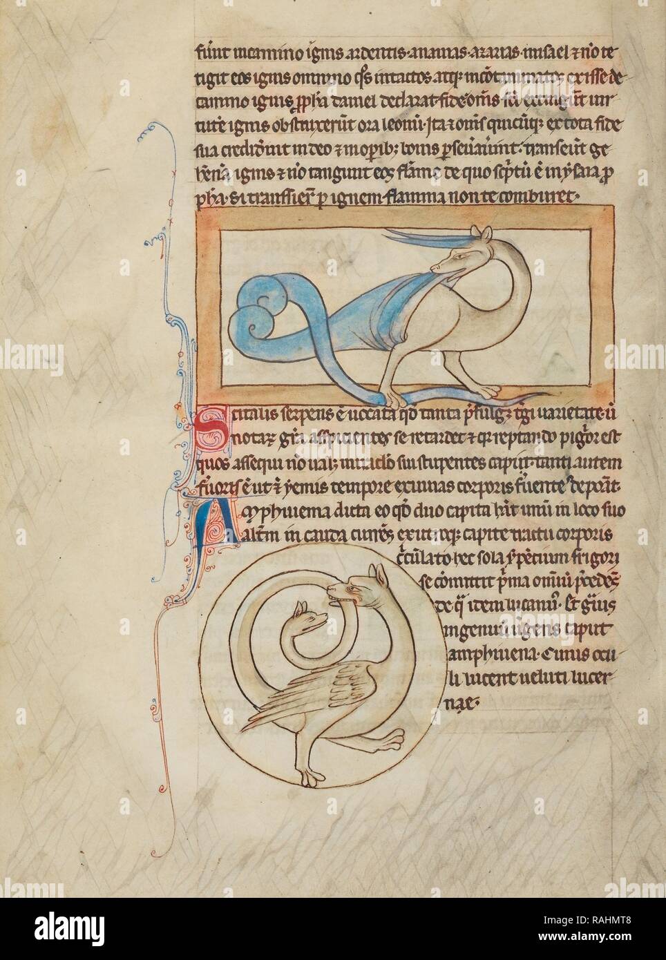 Scitalis hi-res stock photography and images - Alamy