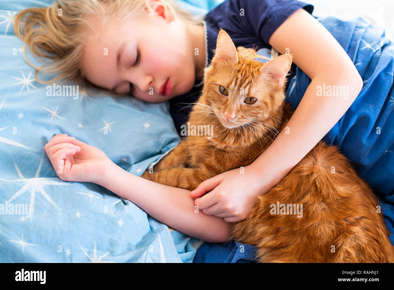 Ginger fluffy cat with little sleeping girl on the blue bed Stock Photo ...