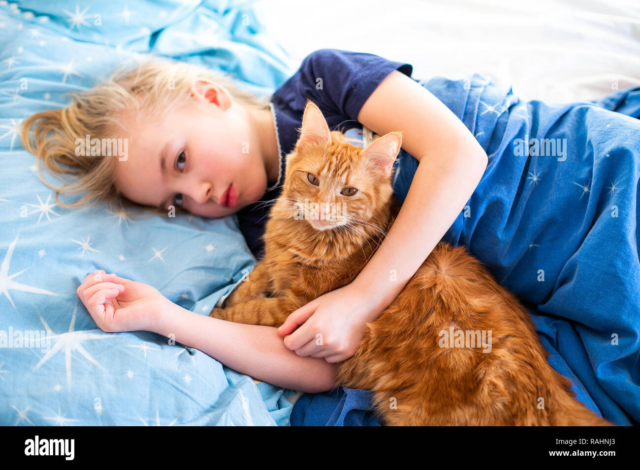 Ginger fluffy cat with little sleeping girl on the blue bed Stock Photo ...