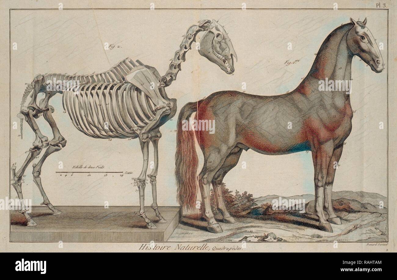 Methodique hi-res stock photography and images - Alamy