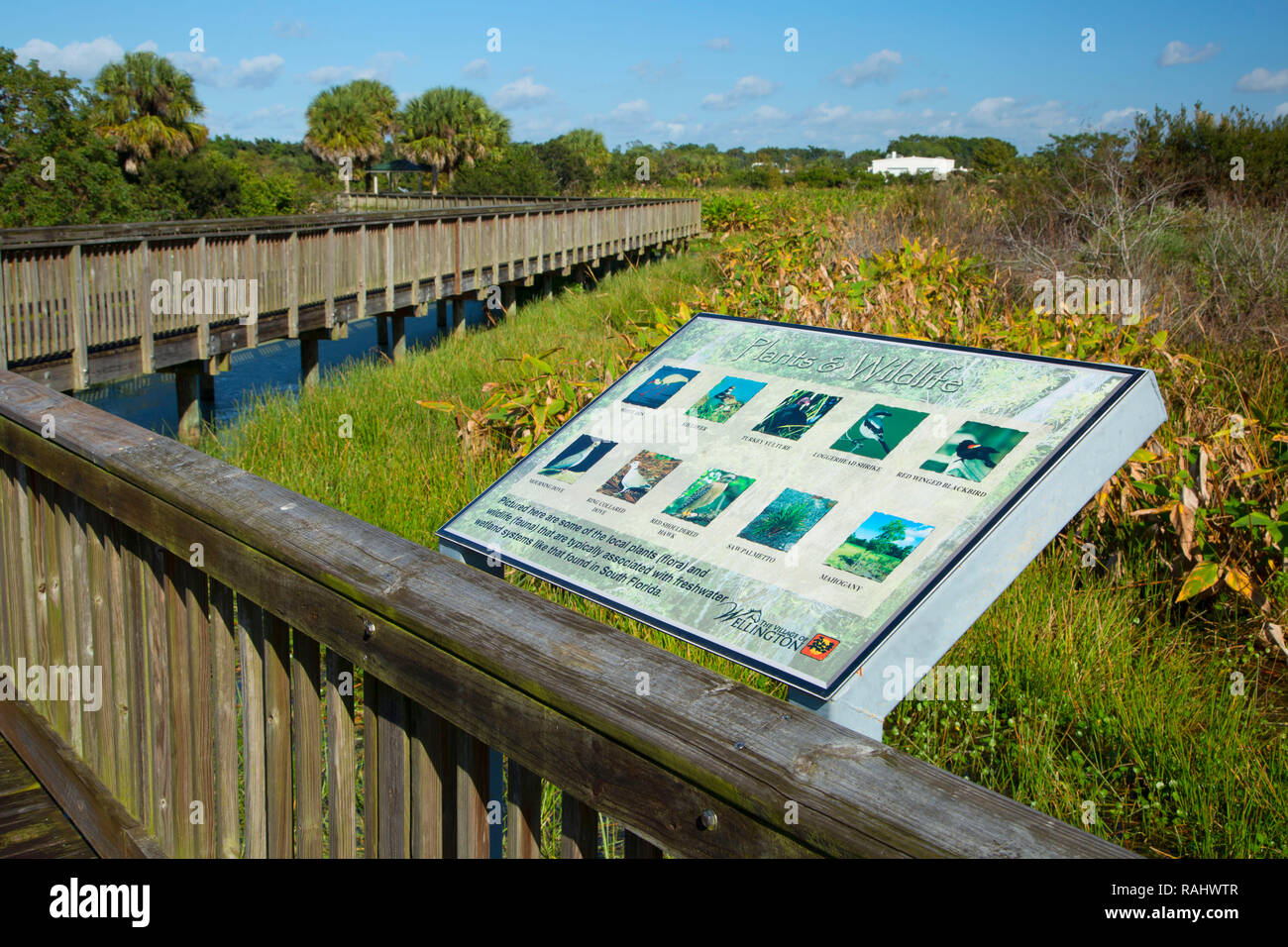 Interpretive board on boardwalk, Peaceful Waters Sanctuary, Wellington ...