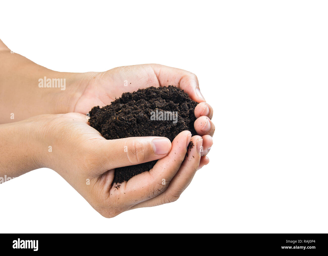 soil in hands on white background Stock Photo - Alamy