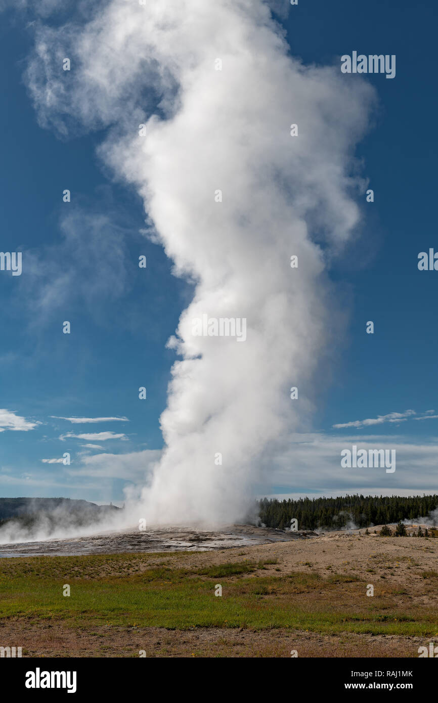 Eruption of Old Faithful geyser at Yellowstone National Park USA Stock ...