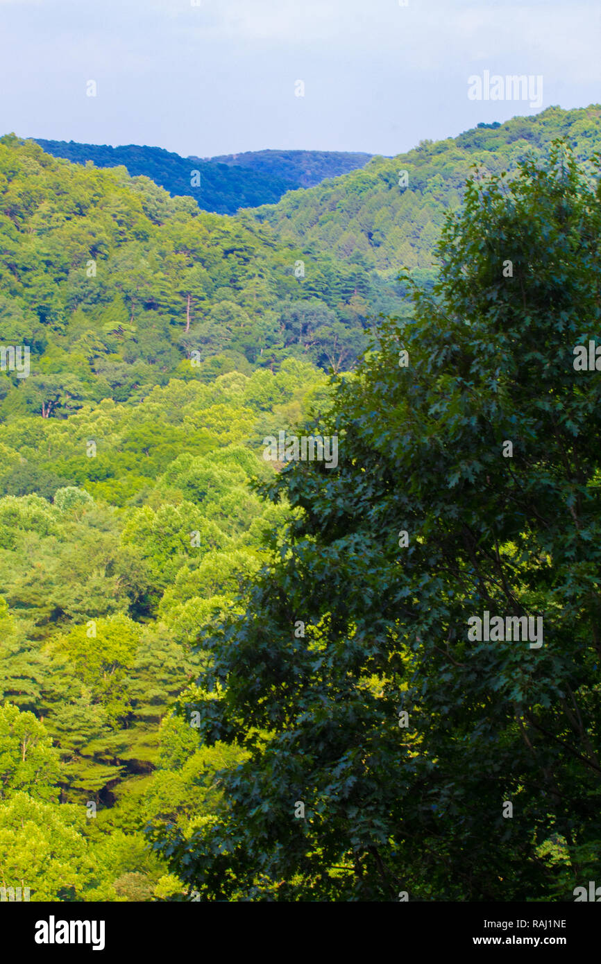 Mohican State Park, Ohio Stock Photo - Alamy