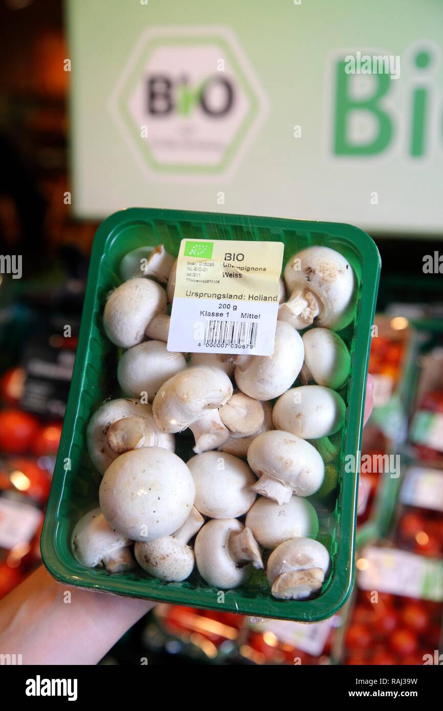 Pack of organic mushrooms, food hall, supermarket Stock Photo - Alamy
