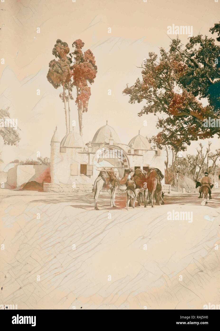 Jaffa (Joppa) and environs. Tabitha's Well 1900, Israel, Tel Aviv ...