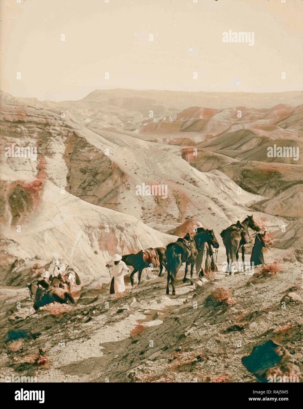 Southern Palestine. Wilderness of Tekoah 1900, West Bank, Tekoa ...