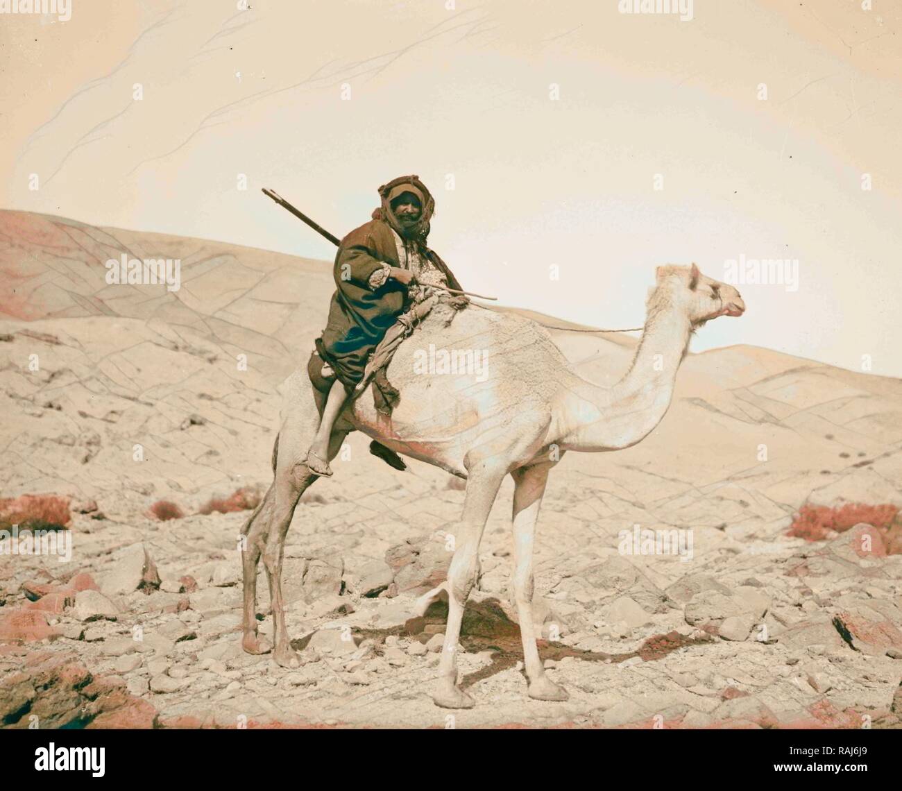 Bedouin riding camel 1900 Middle East. Reimagined by Gibon. Classic art ...