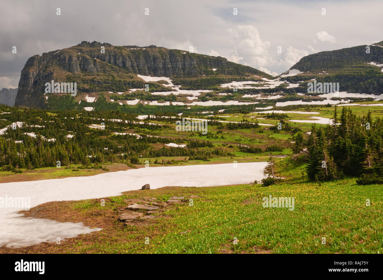 Heavy Runner Mountain at Logan Pass in Glacier National Park Stock ...