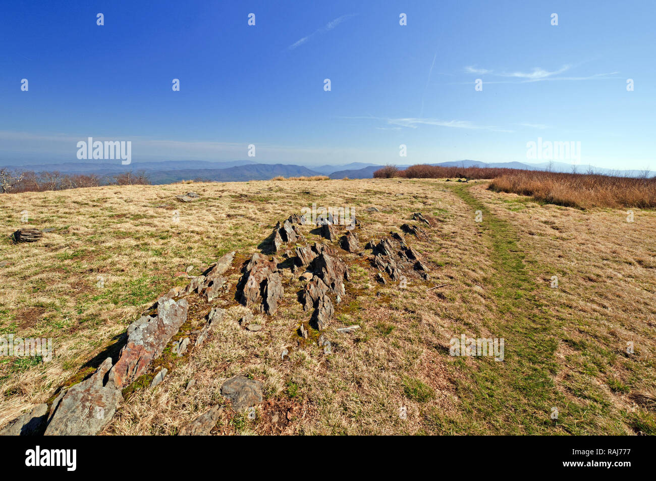 Backountry trail on Gregory Bald in the Smoky Mountains Stock Photo - Alamy