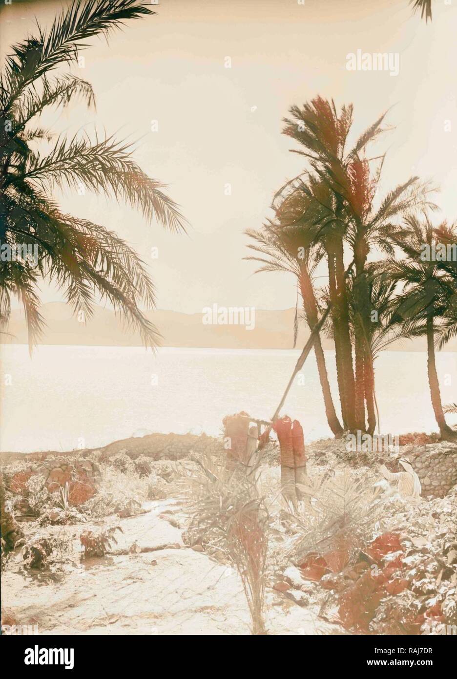 The Araba. (Southern end of the Great Jordan Rift). Negeb el-Shurk ...