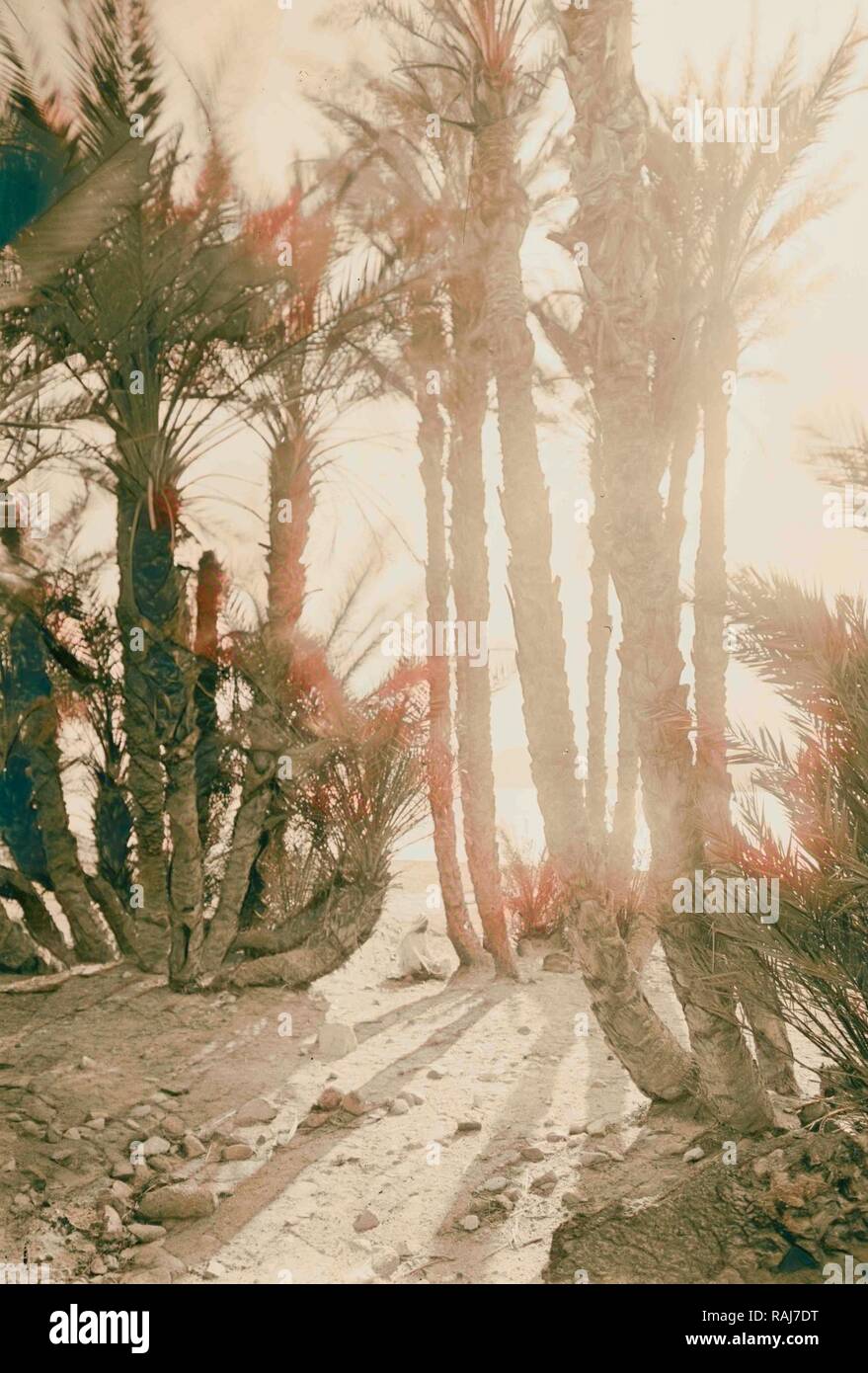 The Araba (Southern end of the Great Jordan Rift). Negeb el-Shurk ...