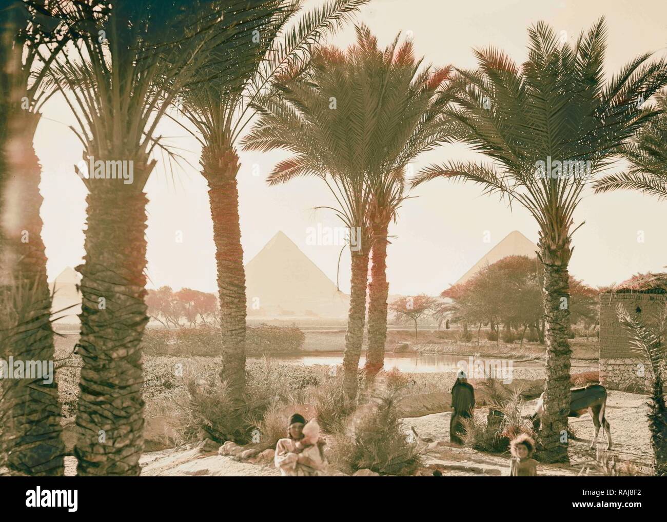 Corn Egypt High Resolution Stock Photography and Images - Alamy