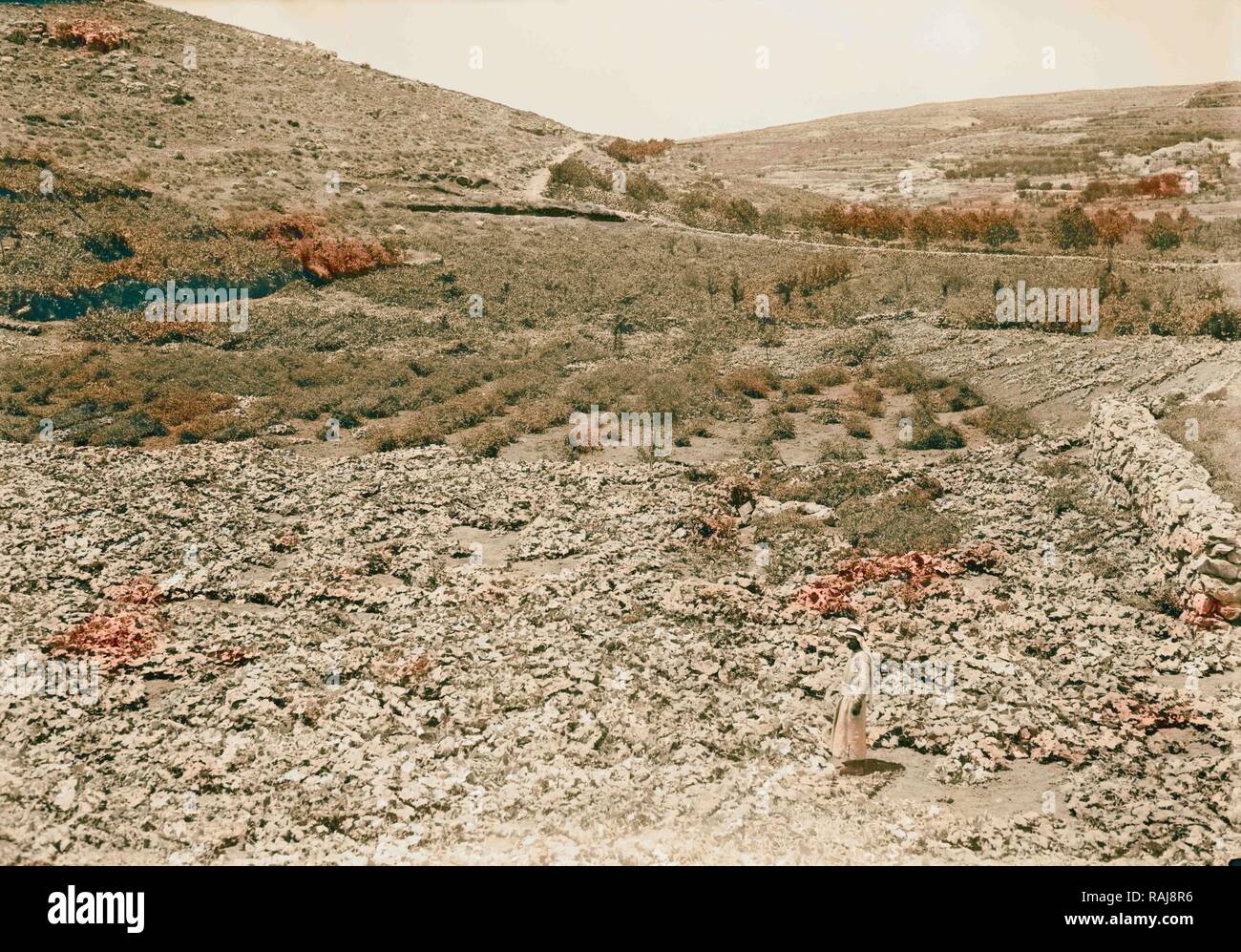 Biyar hi-res stock photography and images - Alamy