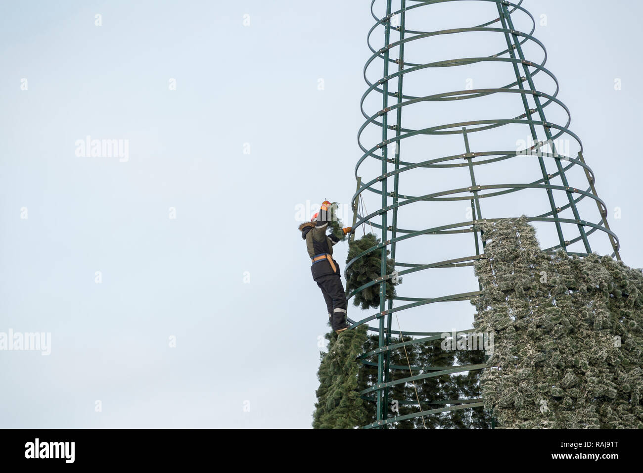 Fitter in a jacket and helmet at the installation of the Christmas tree ...