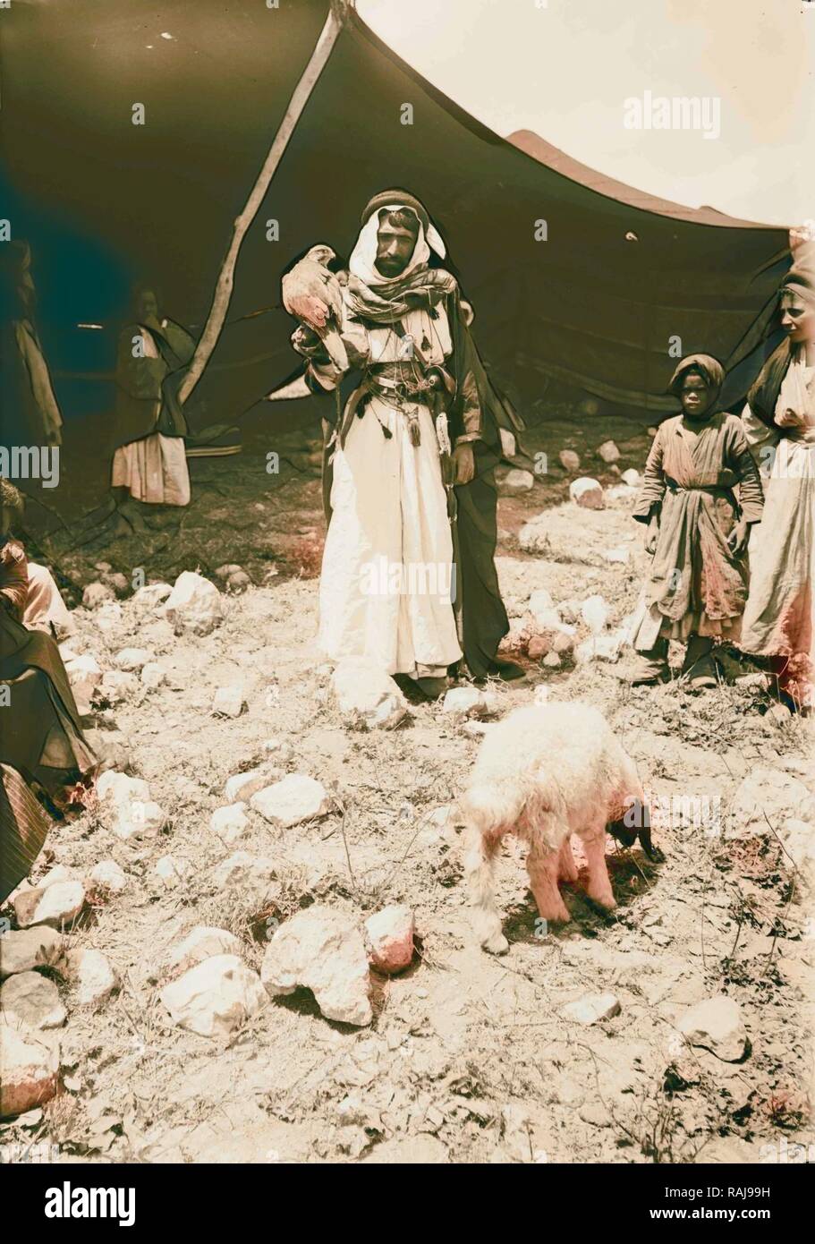 Bedouin man & hunting falcon w/child. 1898, Middle East, Israel and/or ...