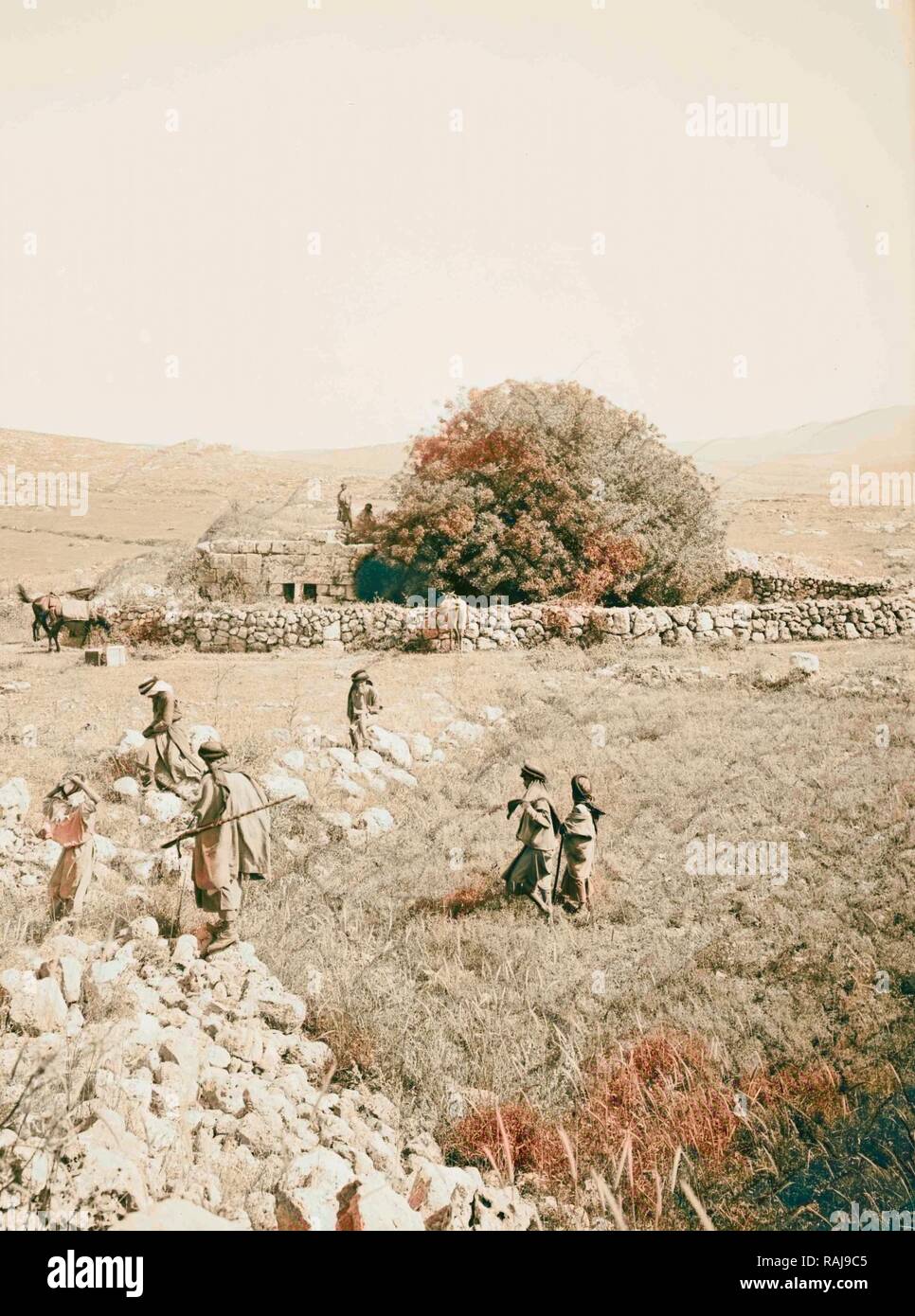 Ruins of Shiloh (Seilun) 1900, West Bank, Shiloh (Extinct city), Middle ...