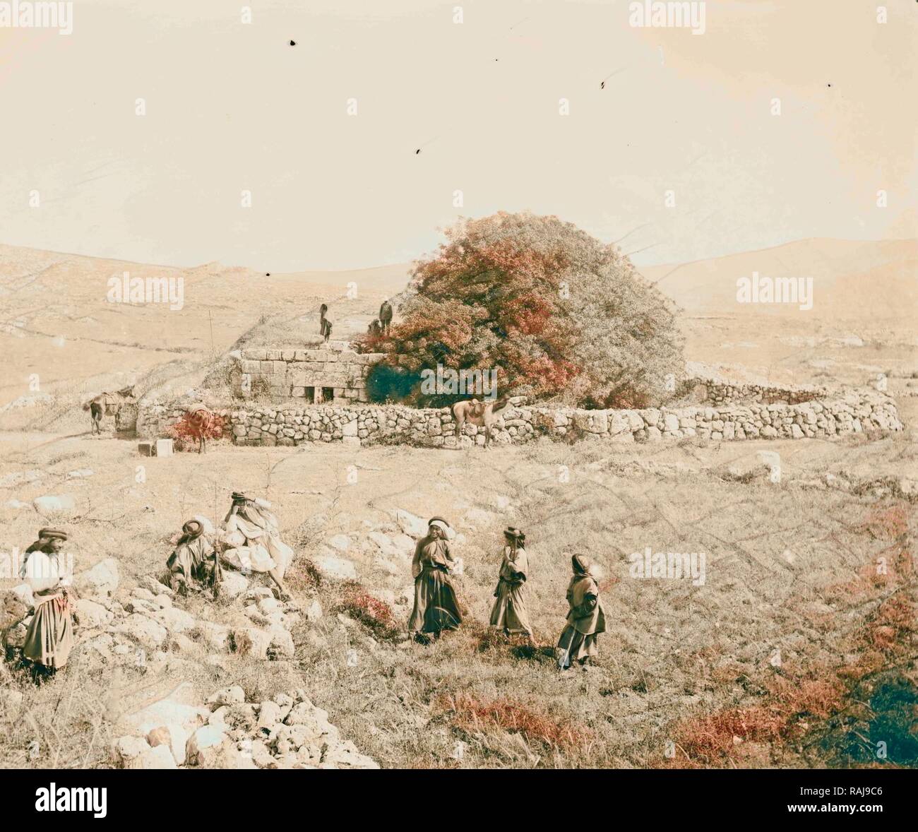 Ruins of Shiloh (Seilun) 1900, West Bank, Shiloh (Extinct city), Middle ...