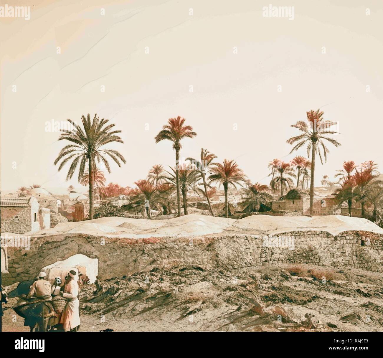 Jaffa (Joppa) and environs. Lydda (Lod), reputed home of St. George and ...