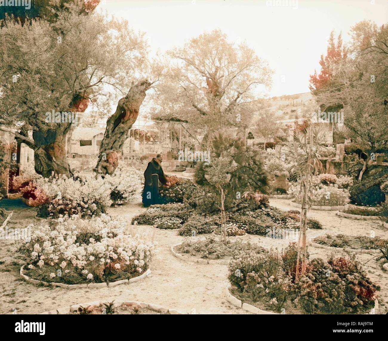 Jerusalem El-Kouds Garden of Gethsemane, interior 1898, Israel ...