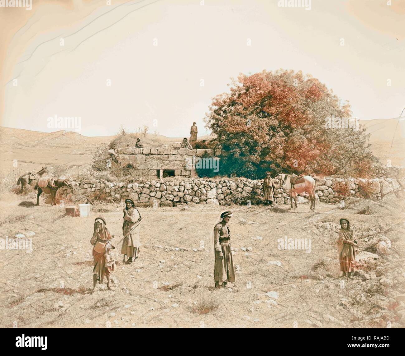 Northern views Ruins of Shiloh (Seilun). 1898, West Bank, Shiloh ...