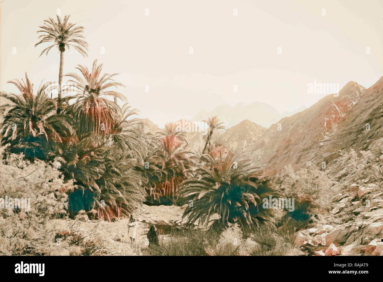 Feiran oasis hi-res stock photography and images - Alamy