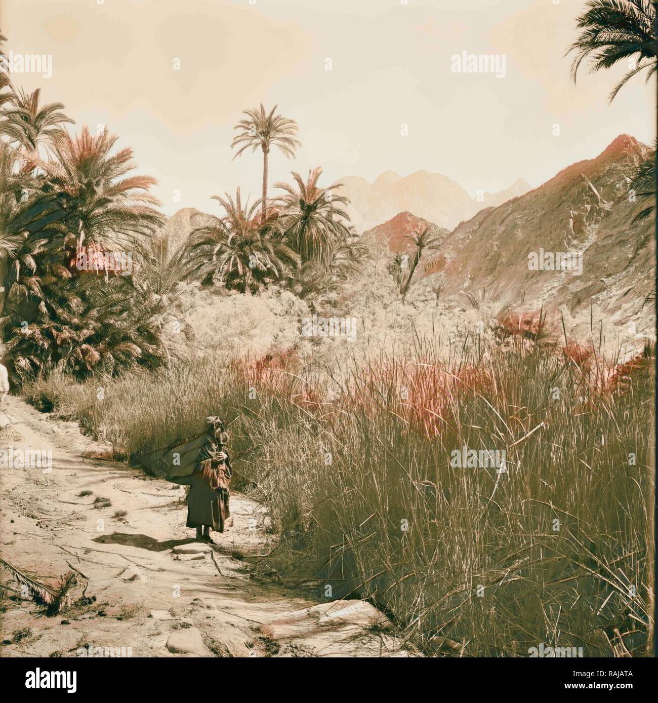 Feiran oasis hi-res stock photography and images - Alamy