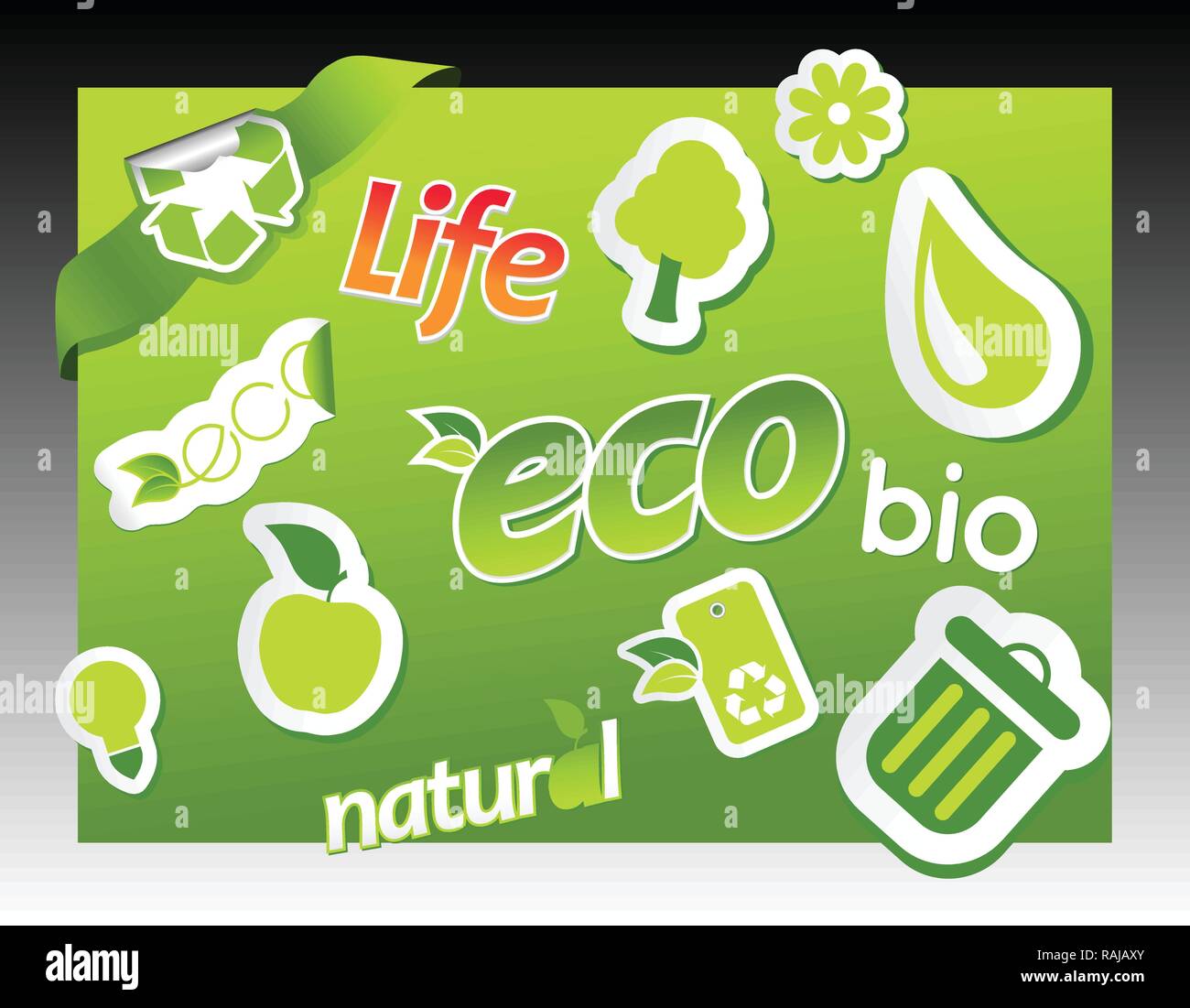 Collection Eco Design Elements, Isolated On White Background, Vector ...