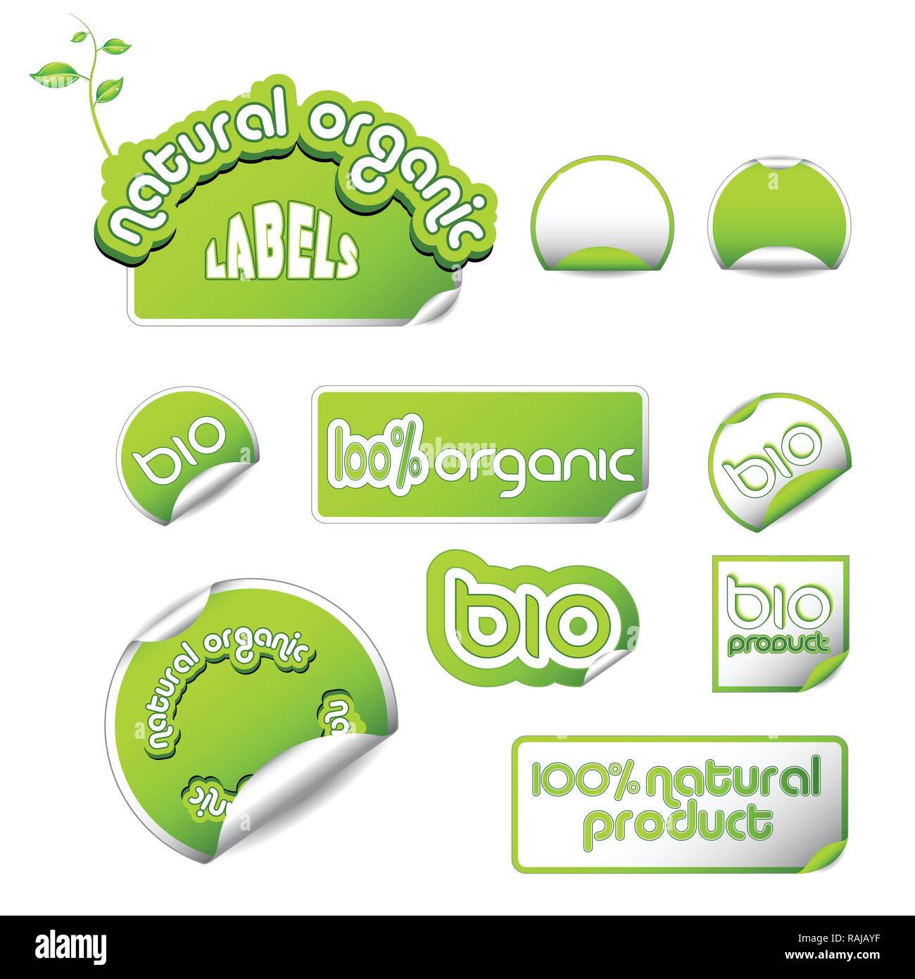 Collection Eco Design Elements, Isolated On White Background, Vector ...