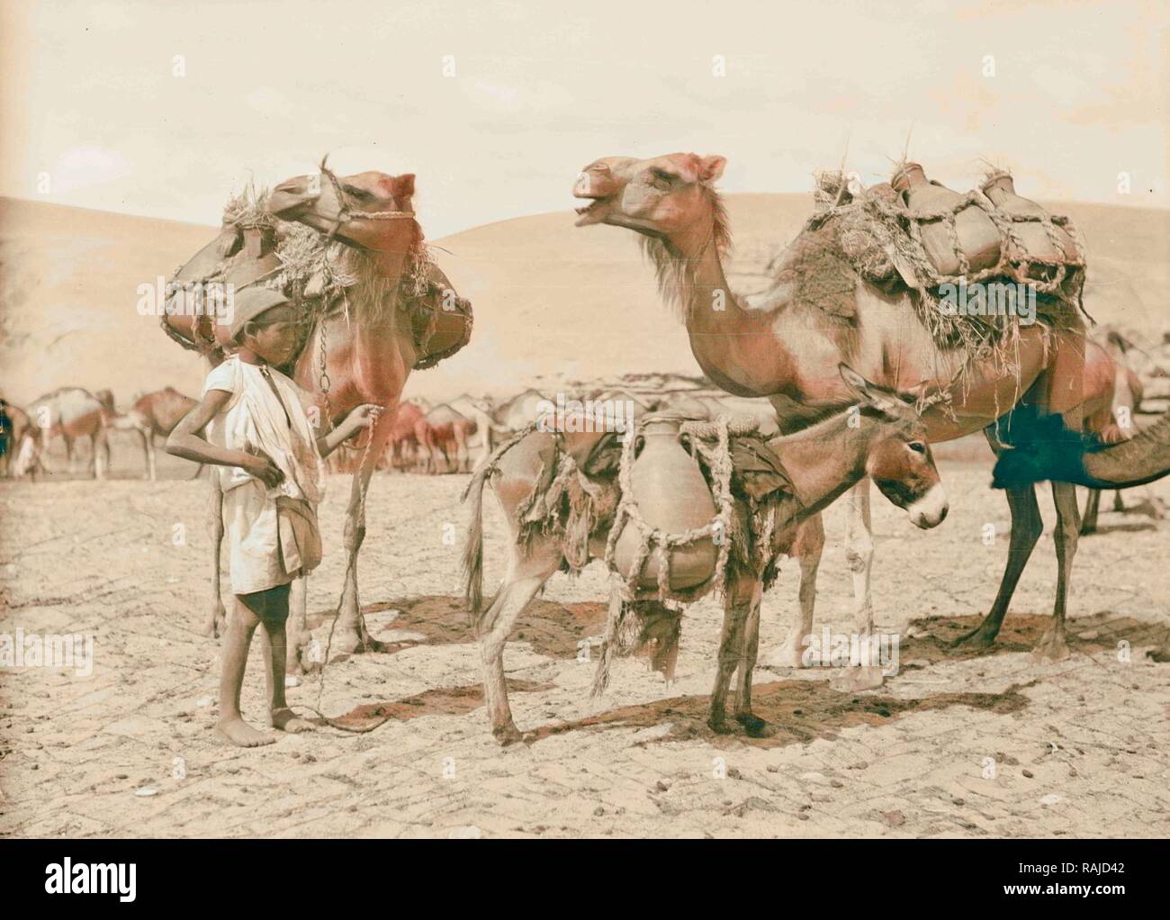Beersheba and surroundings. (Beer Saba) Carrying water to the camp ...