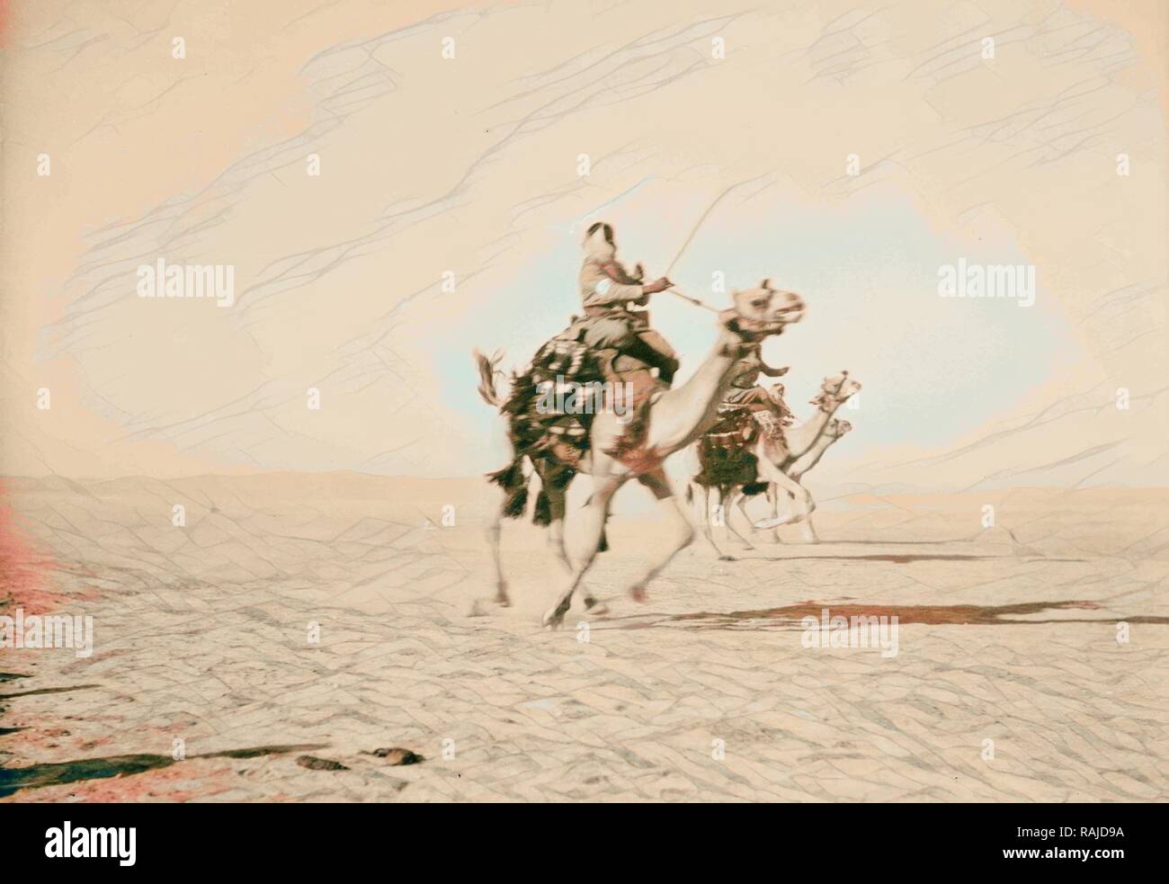 Close of the 1930 locust campaign. Bedouins racing and feasting at ...